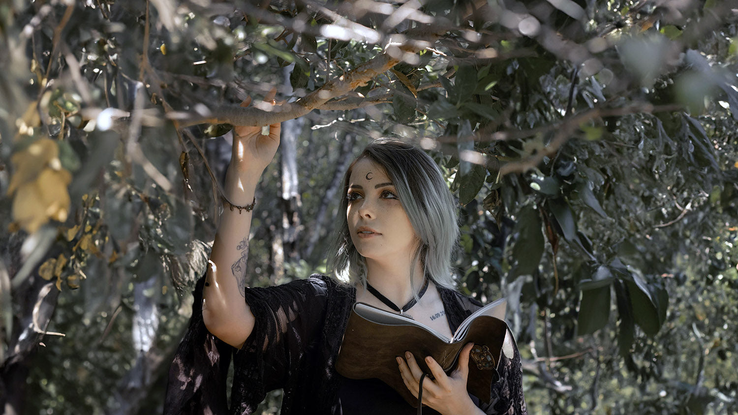 Thrice Round - Witchcraft Supplies | Occult & Metaphysical Shop ...